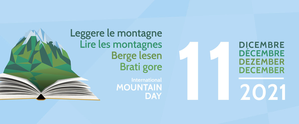 Reading Mountains 2021: Celebrating the bridging role of Alpine ...