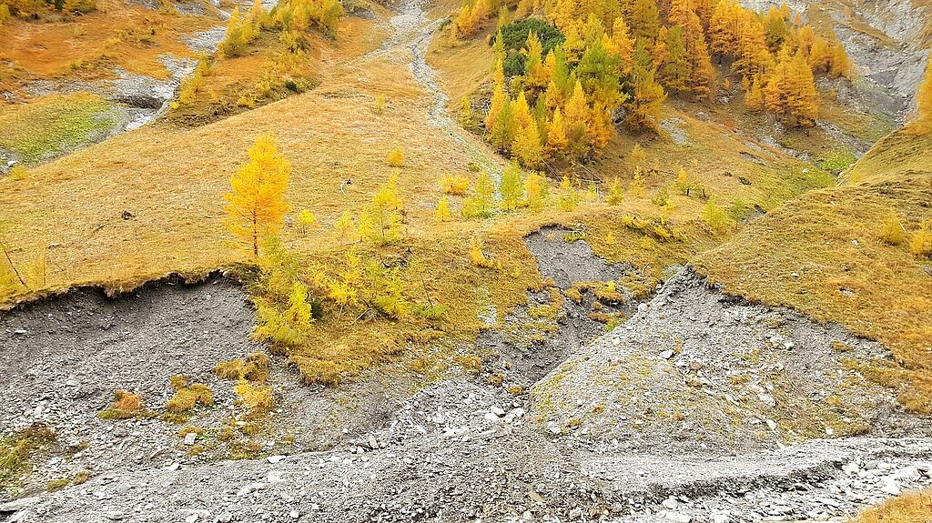 Spotlights on Alpine soils! - Alpconv